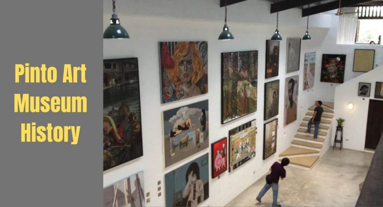 Pinto Art Museum History: Everything Explained | FACTS | Thefanart.com